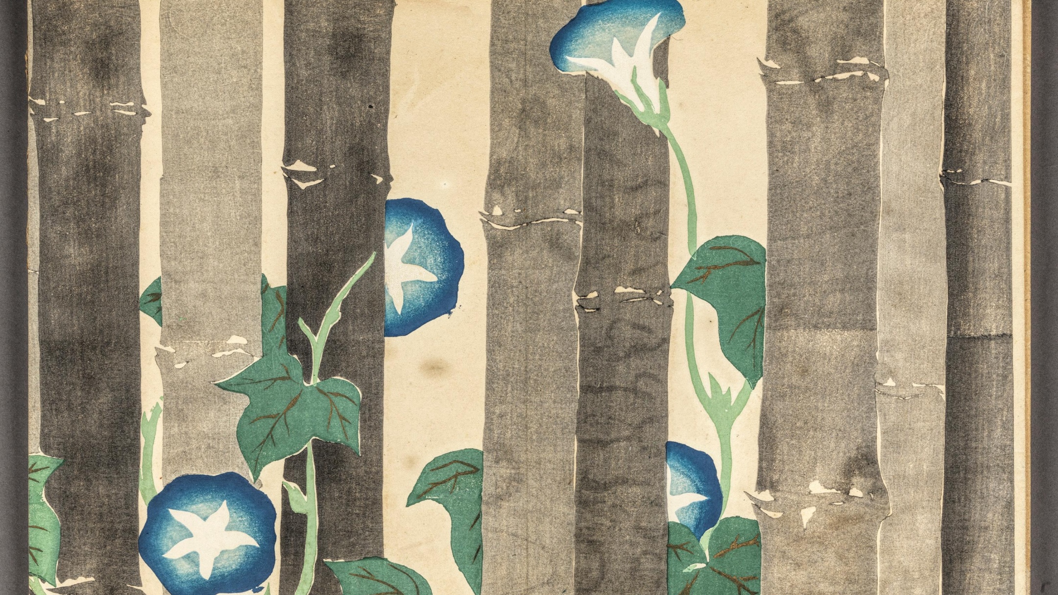 ICC at the ROM Presents Green Porno: Scandalous Sea | Royal Ontario Museum